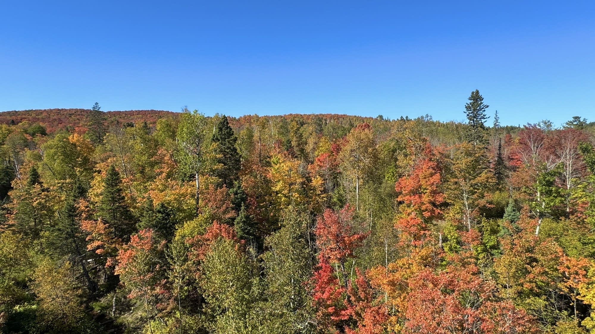 Where to see fall colors in Minnesota | MPR News
