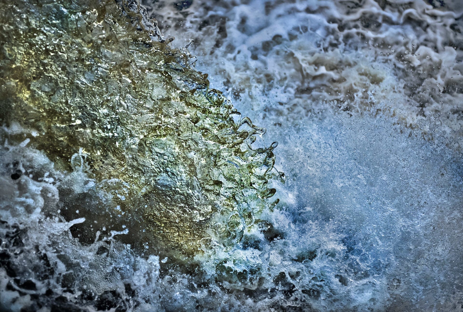 Jim Brandenburg's '93 Days of Spring' | MPR News