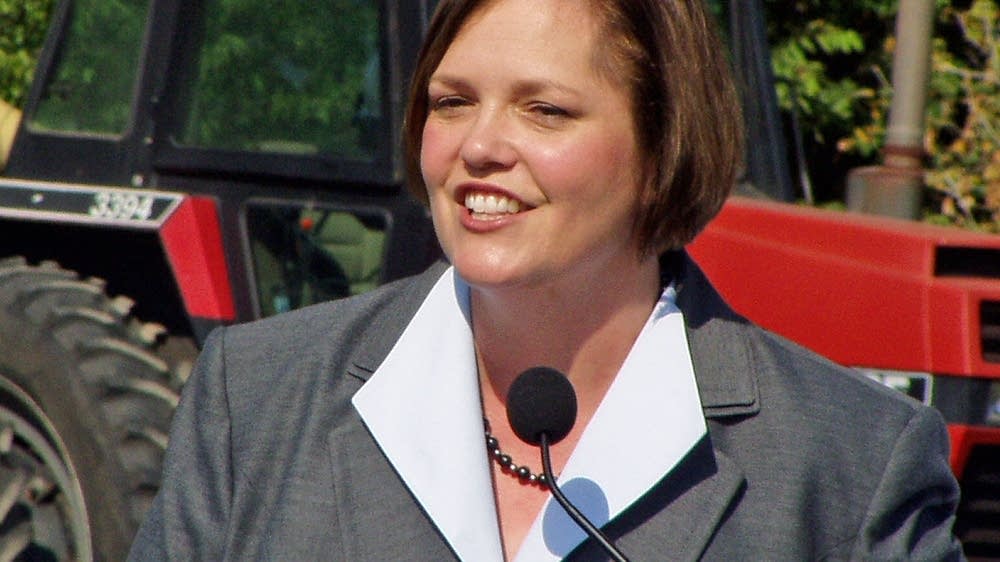 Kelliher announces run for governor | MPR News