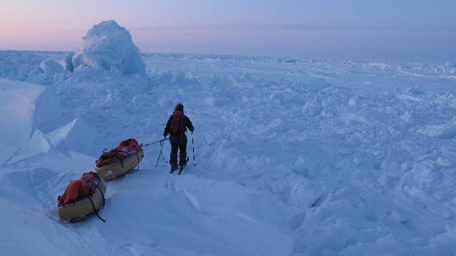 What's going on in the Arctic? | MPR News