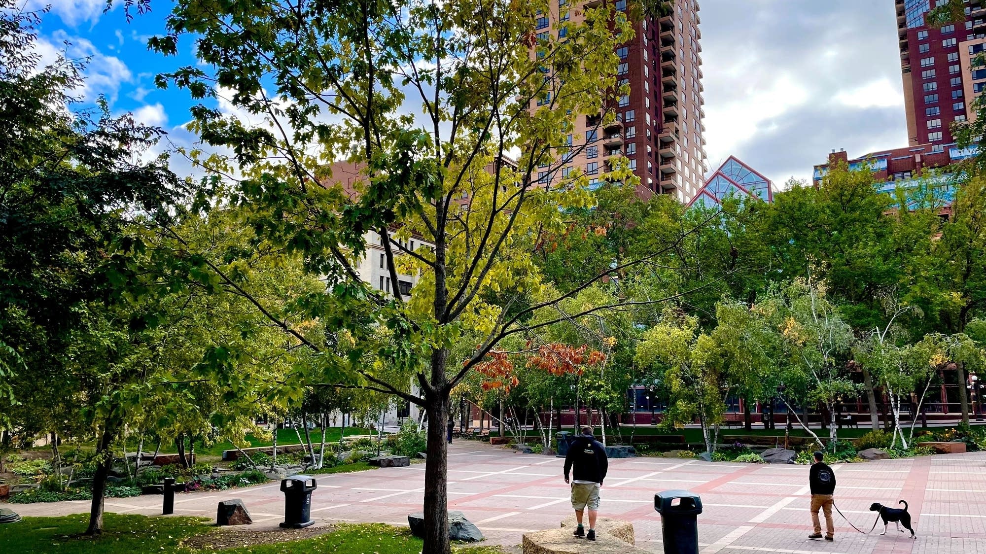 Urban planner behind the revitalization of Lowertown, Weiming Lu dies ...