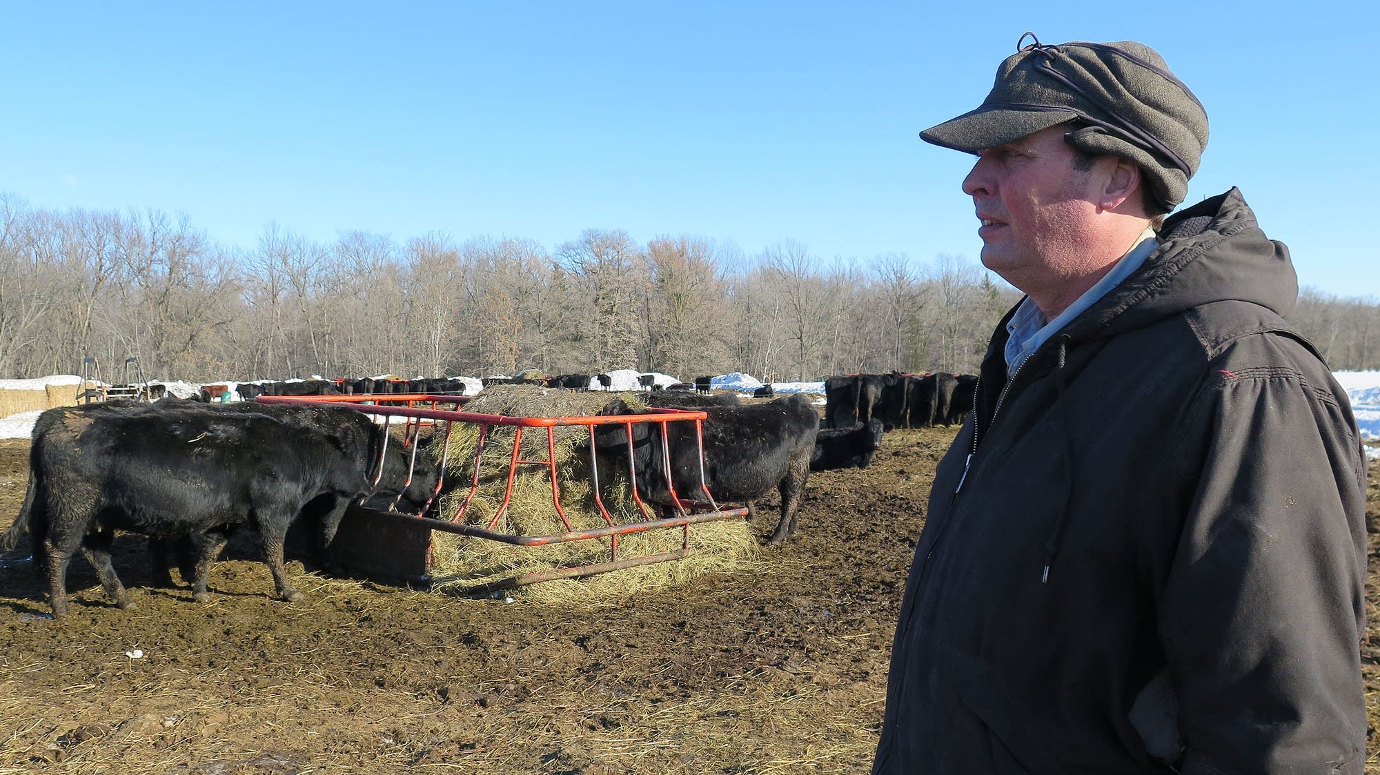 DNR: Irrigation wells in Pineland Sands don’t need in-depth study | MPR ...