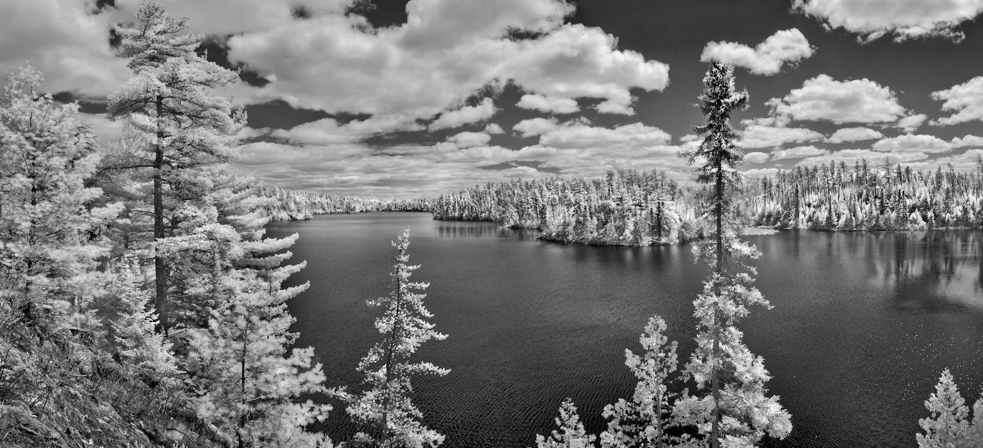 Jim Brandenburg's '93 Days of Spring' | MPR News