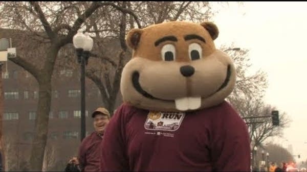 What's New at the U: Goldy Gopher in action | MPR News