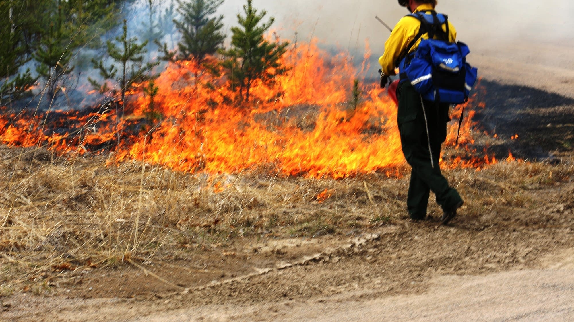 Minnesota firefighters brace for busy spring wildfire season | MPR News