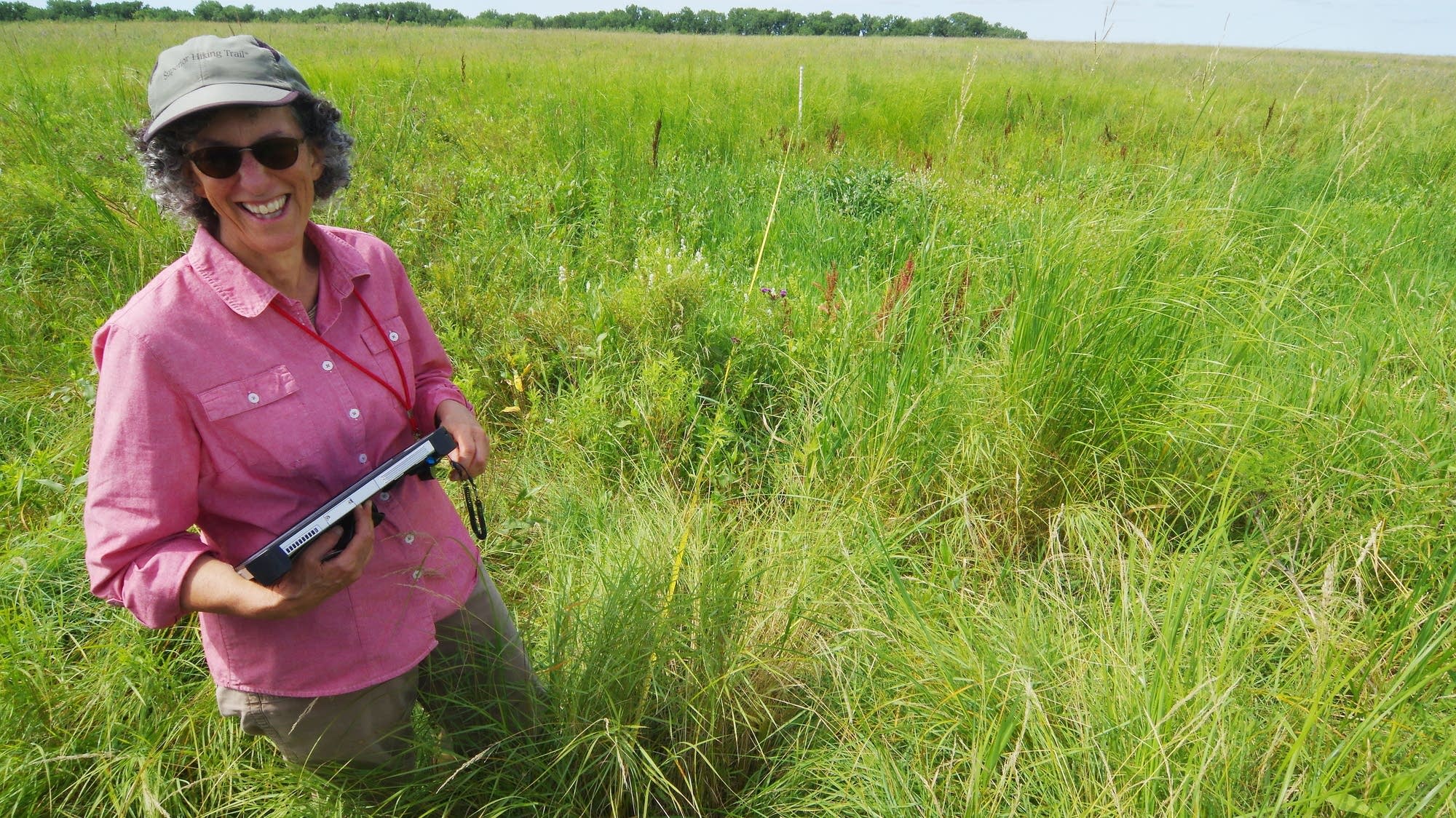DNR wrapping up Minnesota's first biological 'census' | MPR News