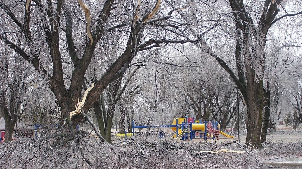 Crews still at work on ice storm cleanup | MPR News