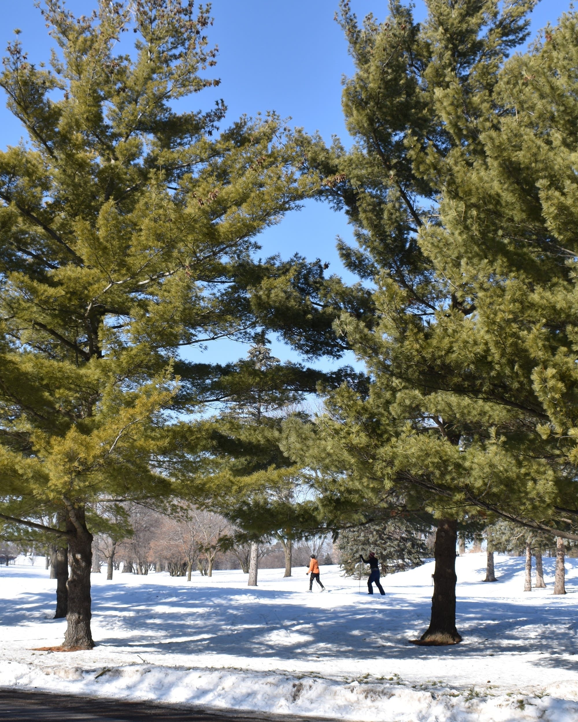 Sunday Afternoon Rain And Snow