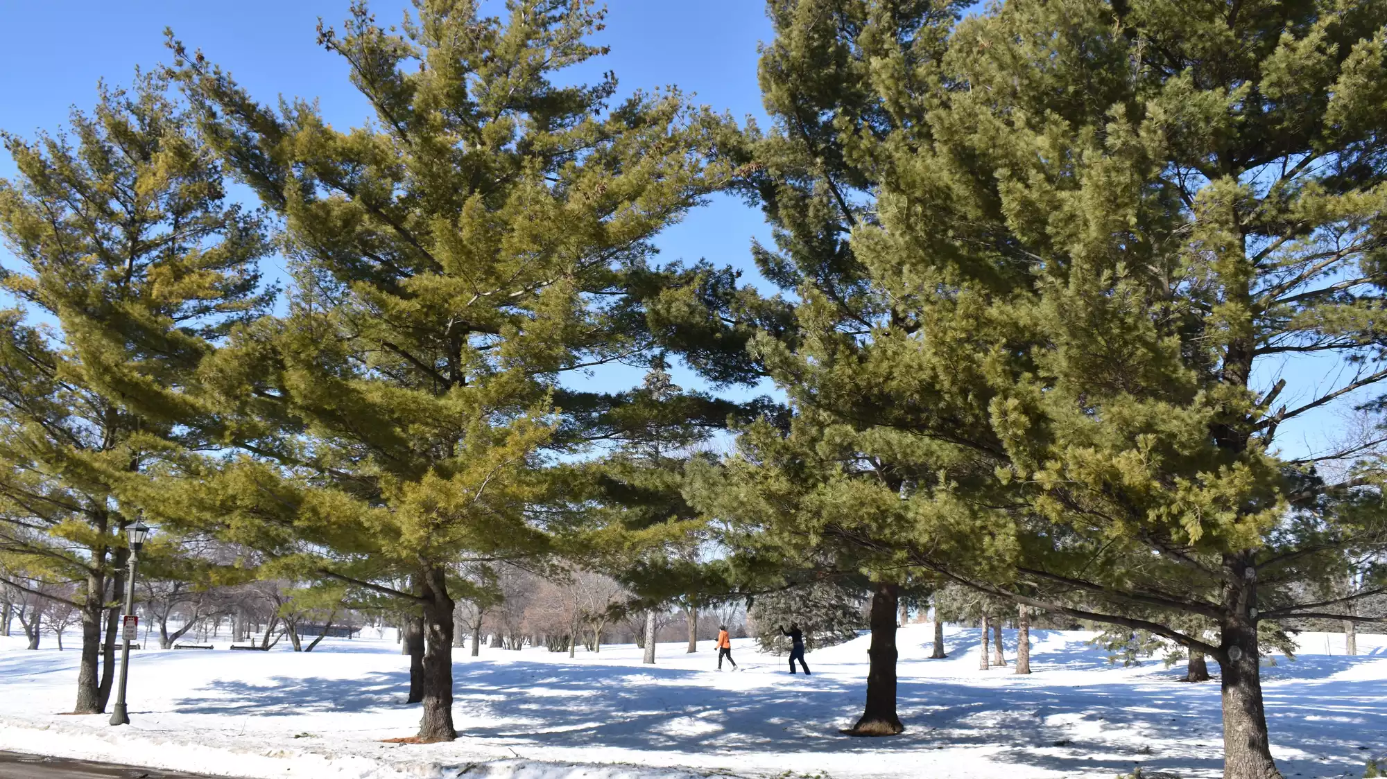 Above-normal temps into early next week; rain Tuesday, then rain-snow ...