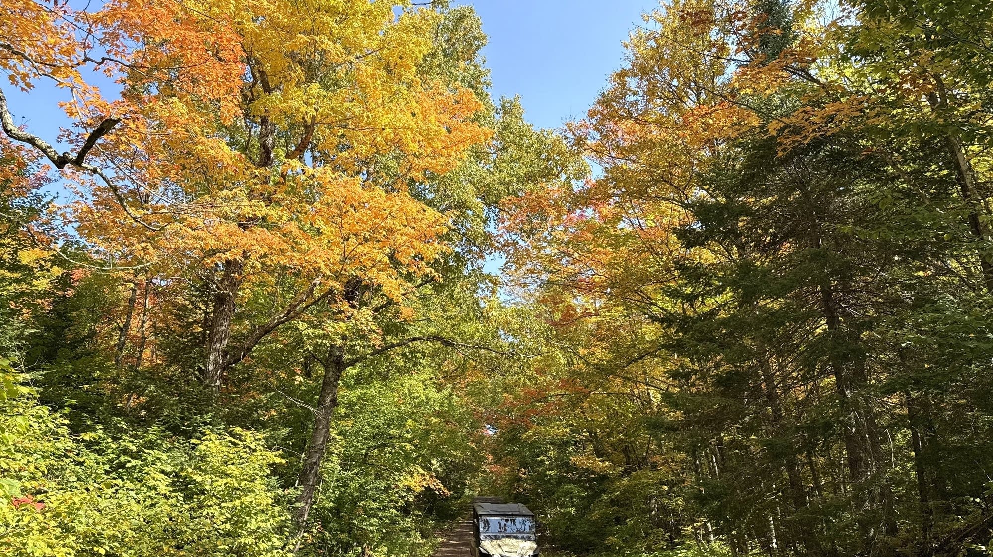 September warmth has pushed fall colors about 2 weeks later since 1970 ...