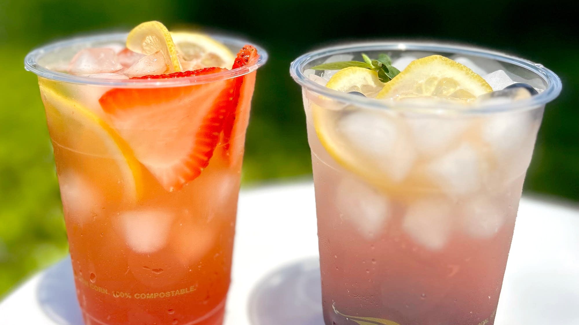 Sober State Fair: Non-alcoholic options at the Minnesota State Fair ...