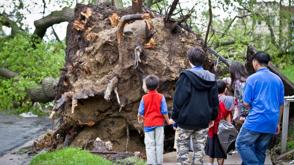 Photos: Tornado damage in Minneapolis | MPR News