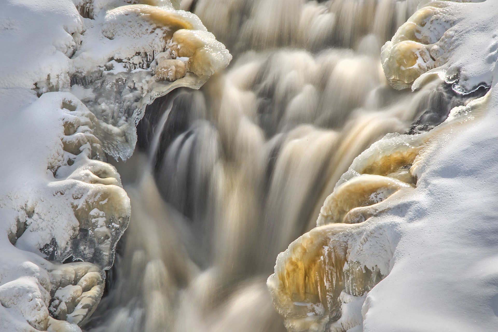 Jim Brandenburg's '93 Days of Spring' | MPR News