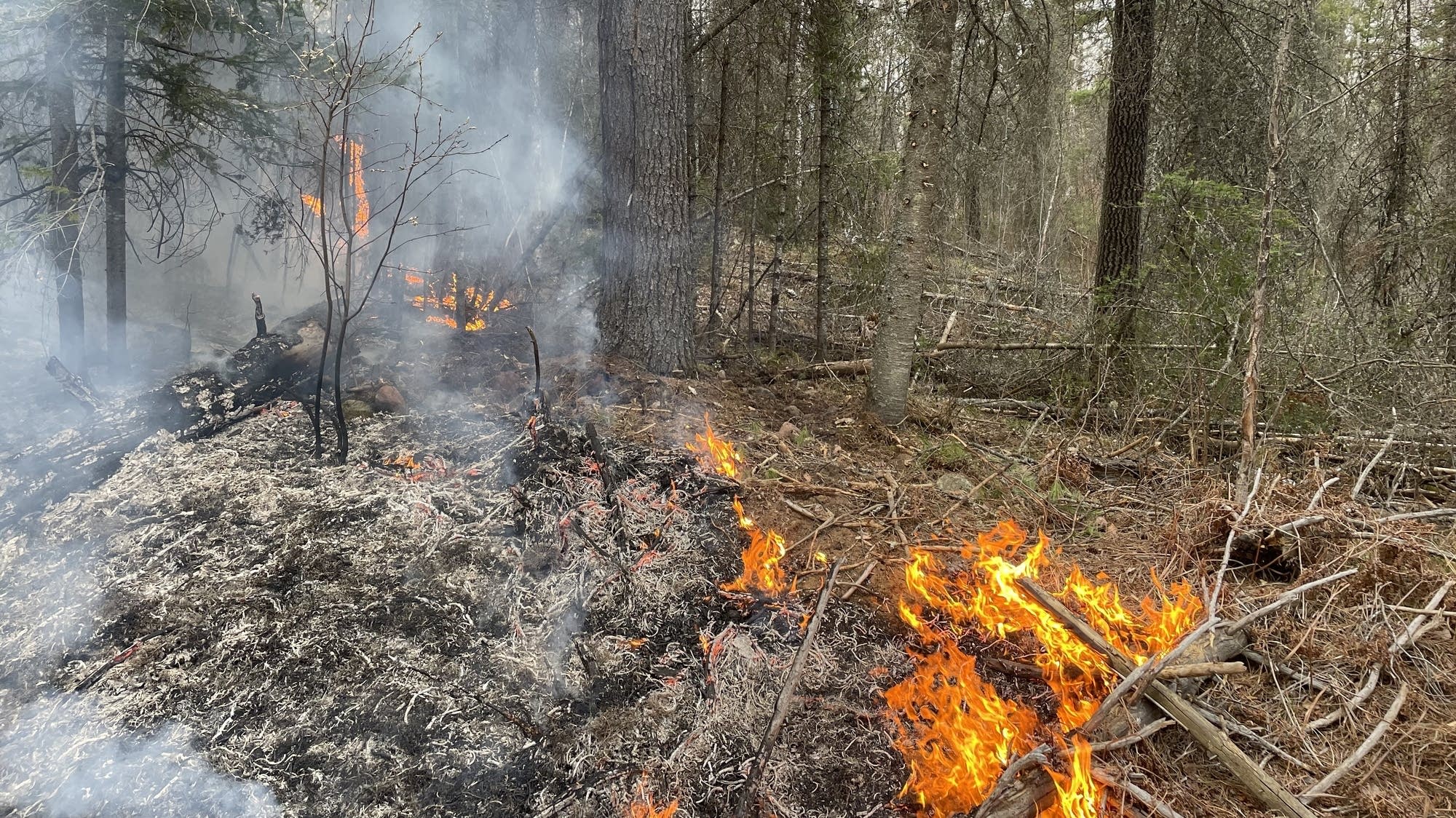 Crews battling wildfire near site of prescribed burn in Superior ...