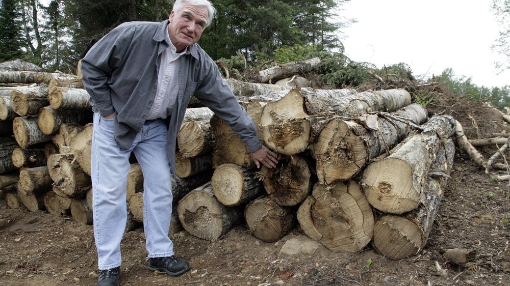 Grand Marais looks to harvest heat from an overcrowded forest | MPR News