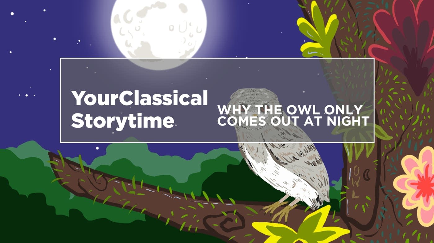 'Why the Owl Only Comes Out at Night'