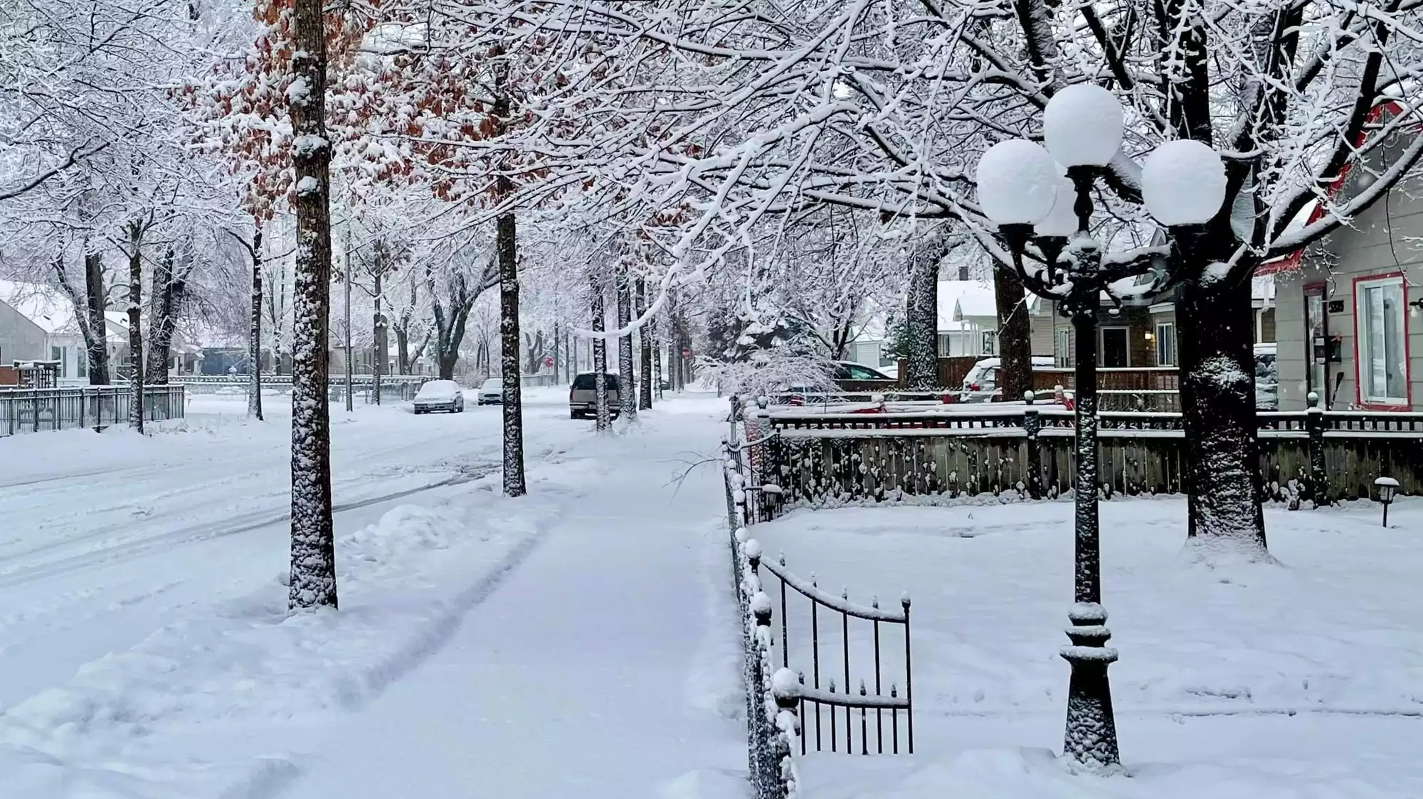 Snow winds down through Friday; subzero air locks in next week | MPR News