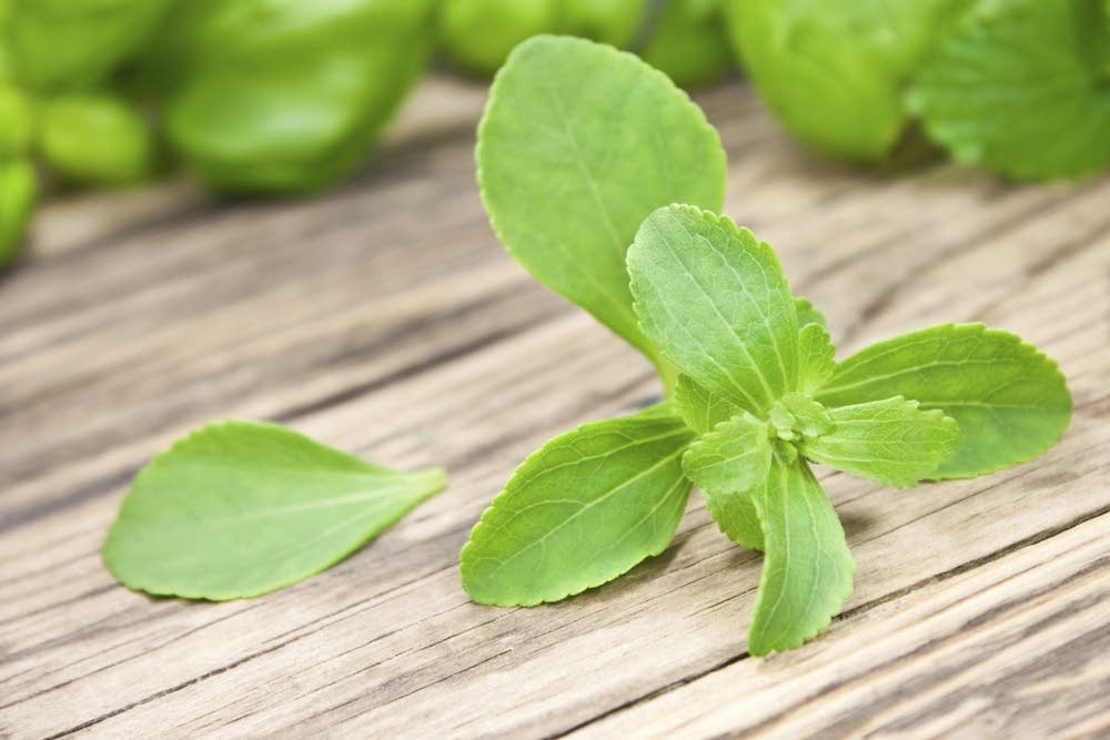 Stevia tastes 200 times sweeter than sugar | The Splendid Table