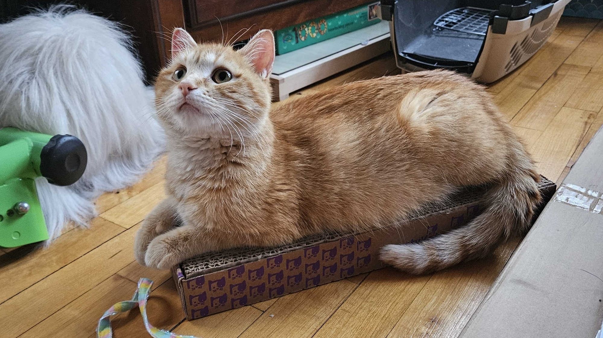 Morning Announcements for Aug. 19 | MPR News