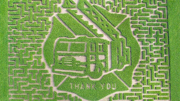 No way out, corn maze is on borrowed time | MPR News