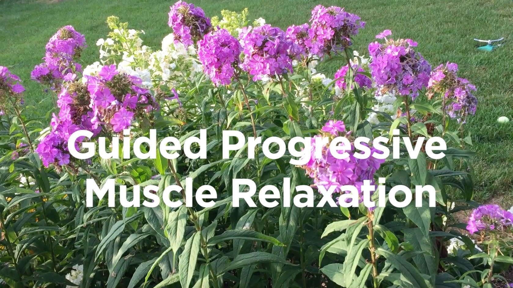 Guided Progressive Muscle Relaxation with music