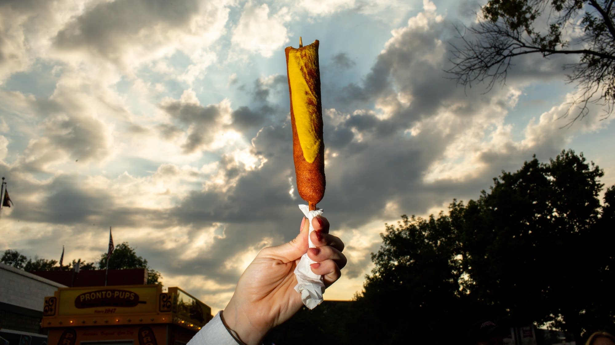 Minnesota State Fair guide to tickets, parking and deals | MPR News