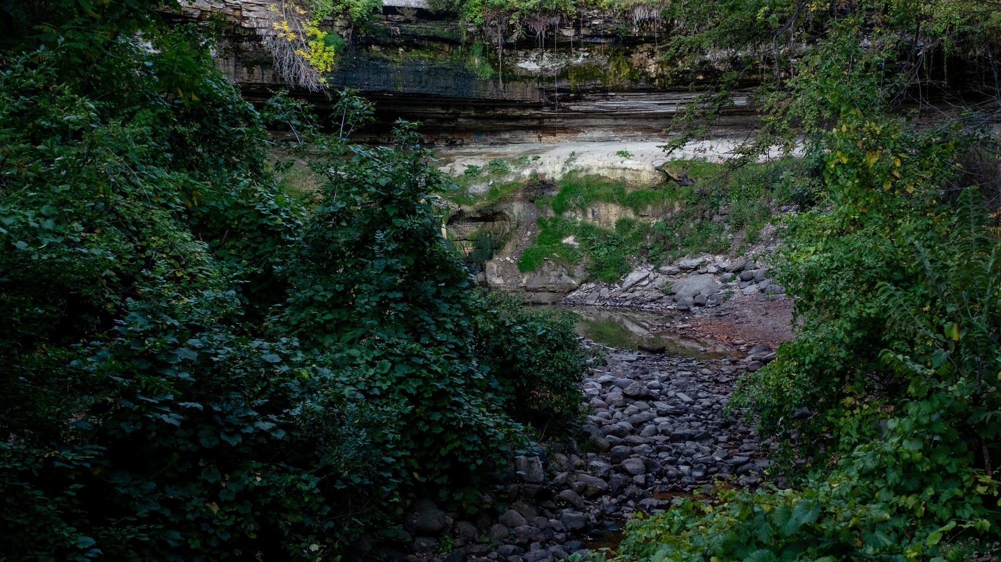 Milder weekend temps; Top five weather events of 2022 | MPR News