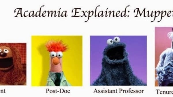 The world of academia explained through Muppets | MPR News