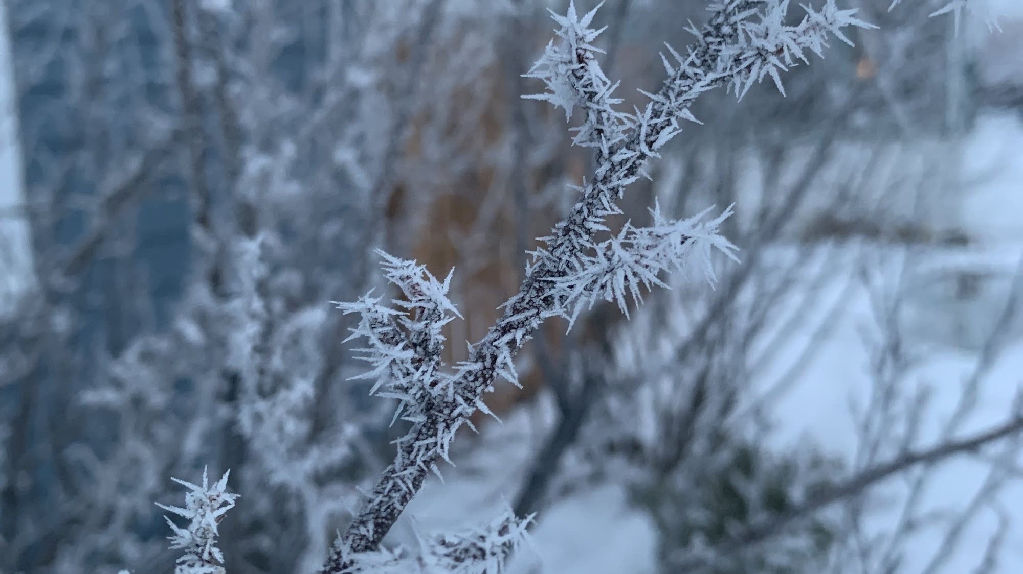 Milder weekend temps, areas of fog and a flurry/drizzle chance; Update ...