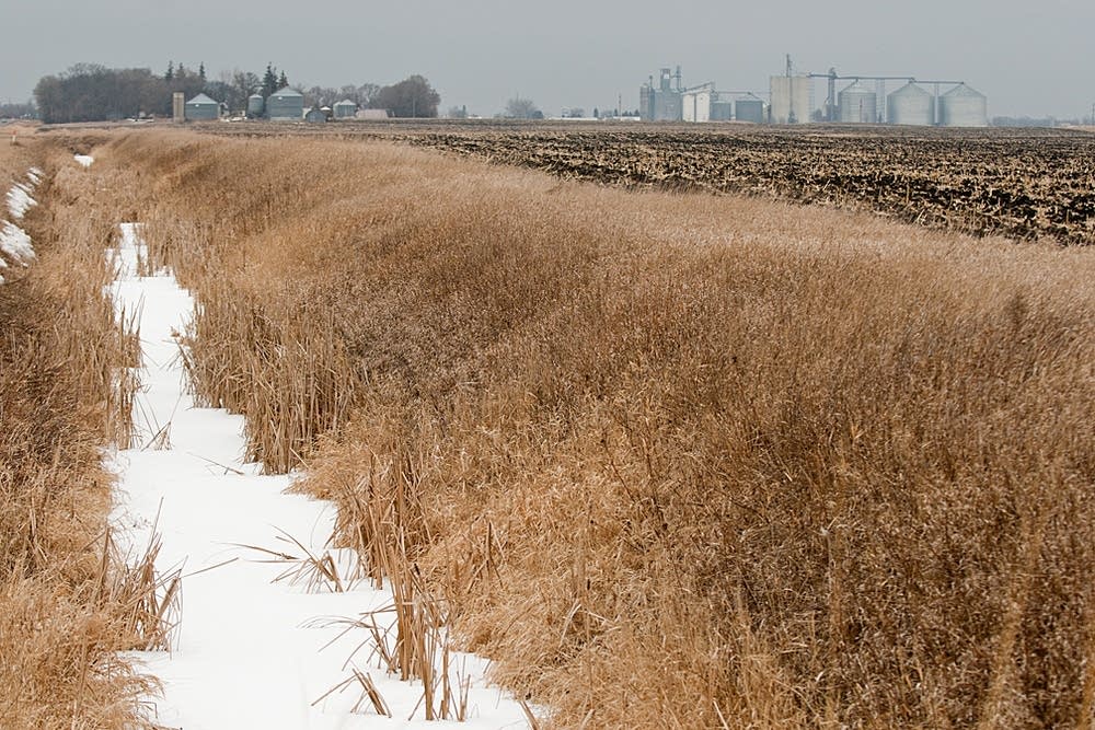 Winter drought prompts MN farmers to hedge spring bets | MPR News