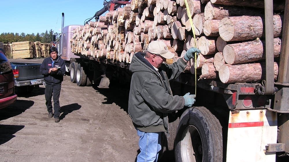 Timber troubles hurt northern economy | MPR News