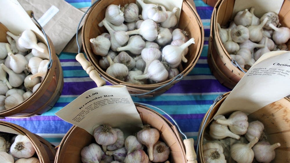 Crowds embark on culinary adventure at Garlic Festival | MPR News