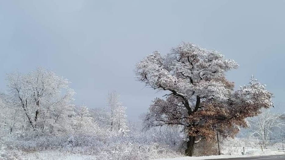 Are Minnesota's winters getting snowier? Well, yes, and no. | MPR News