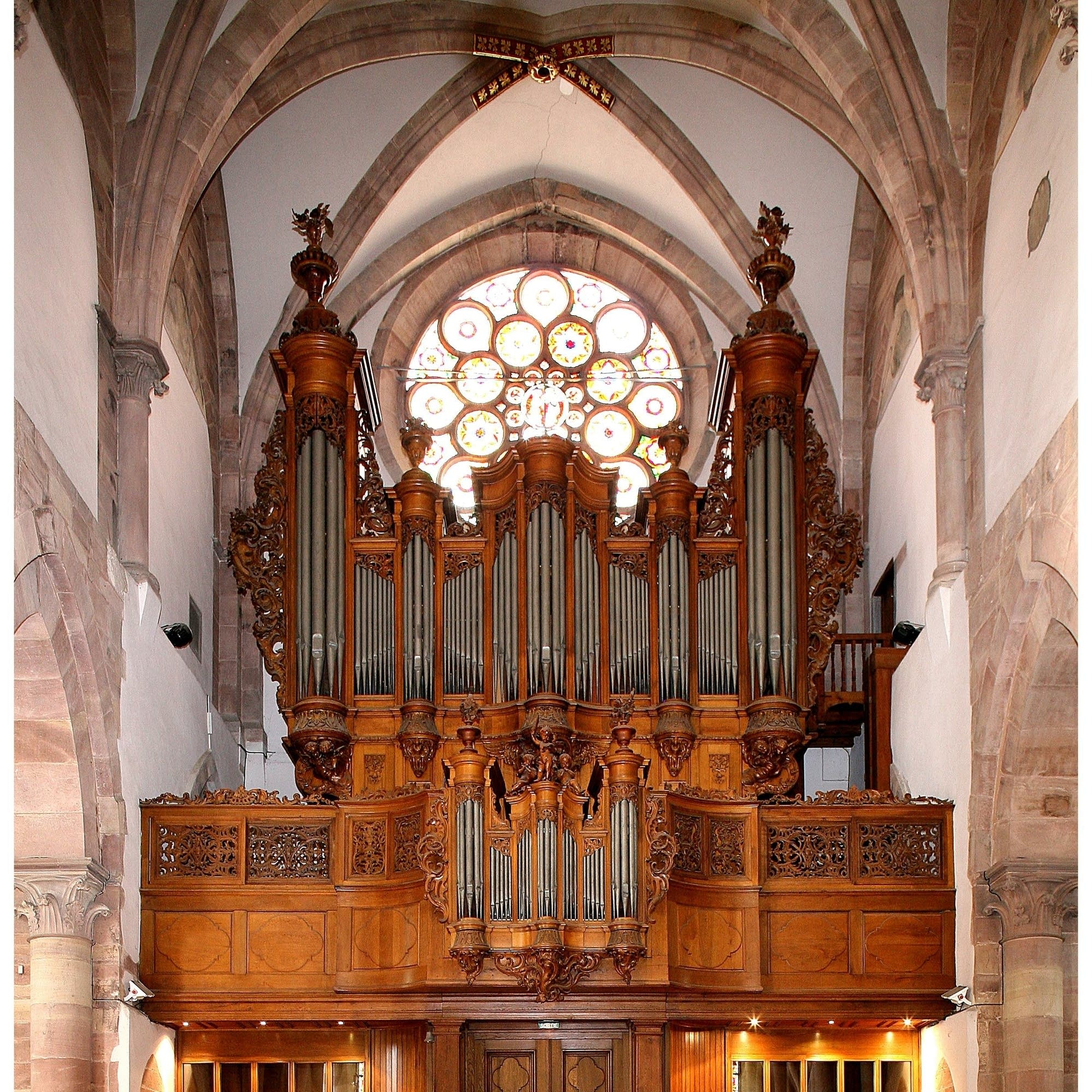 All Episodes | Pipedreams