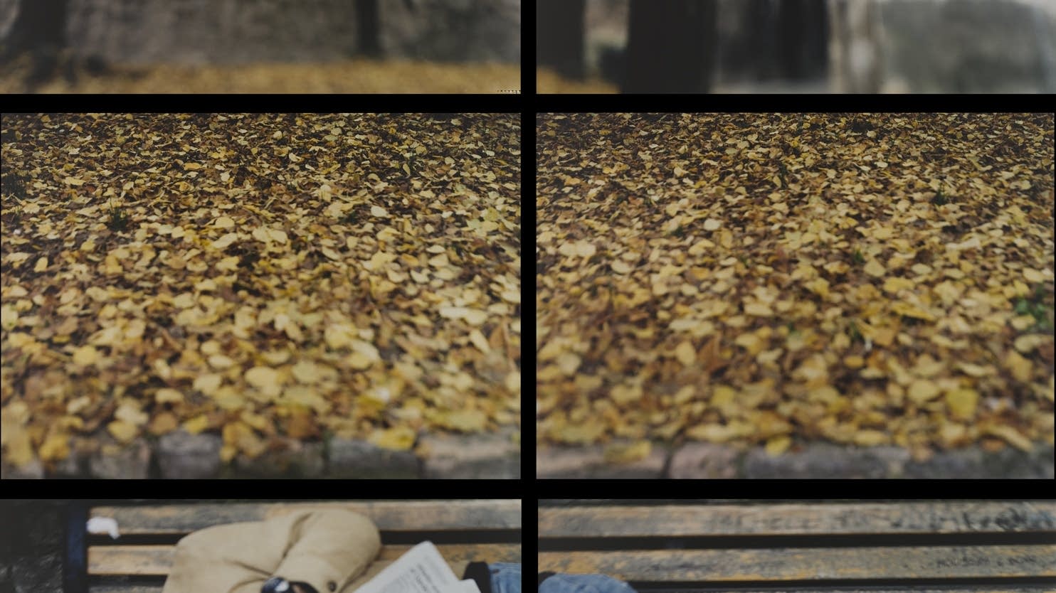 Minnesota poetry: Jim Moore’s ‘Resolutions’ | MPR News