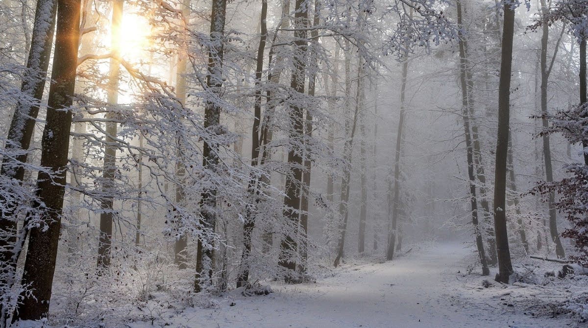 Coffee Break: Cold, cold, cold