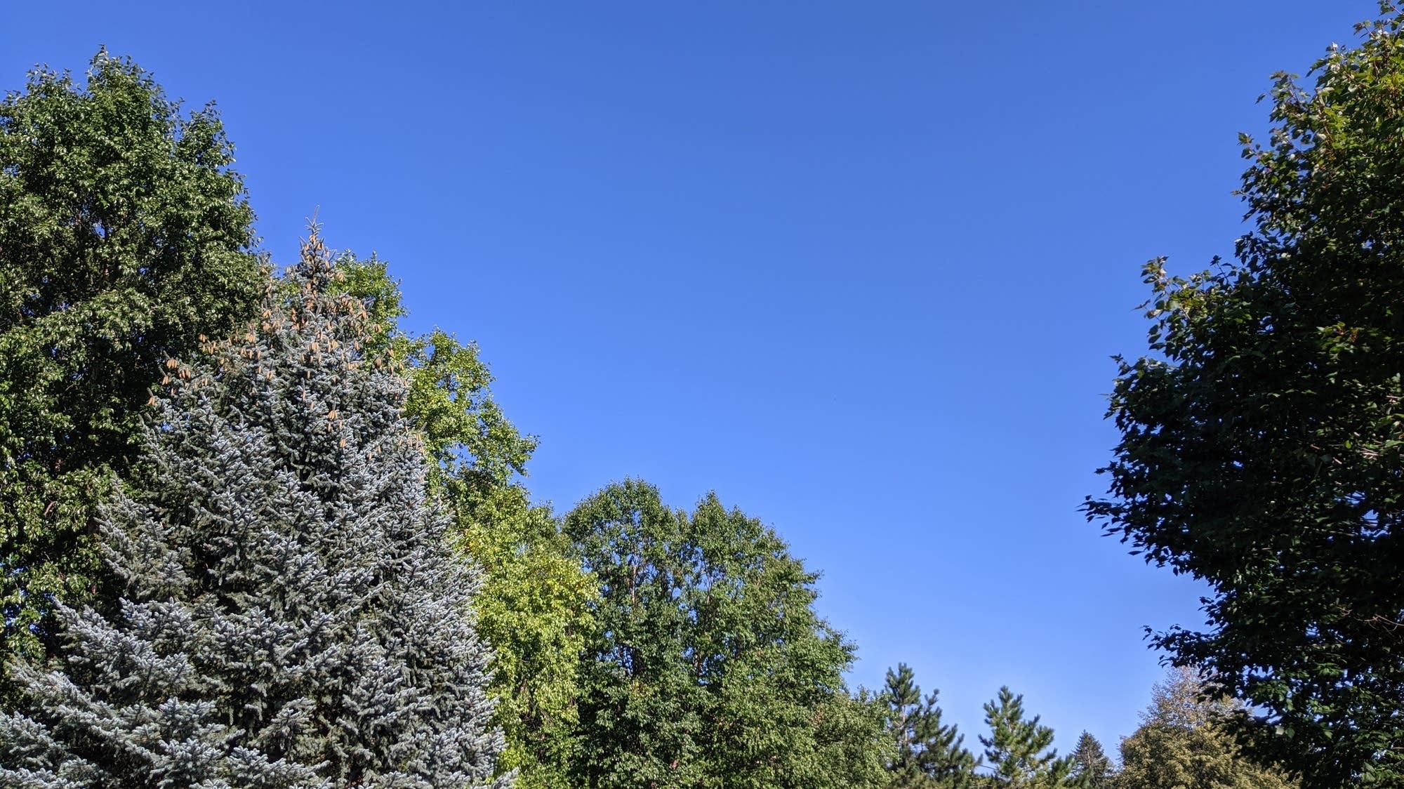 Sunshine, highs in the 80s: Classic August weather kicks in | MPR News