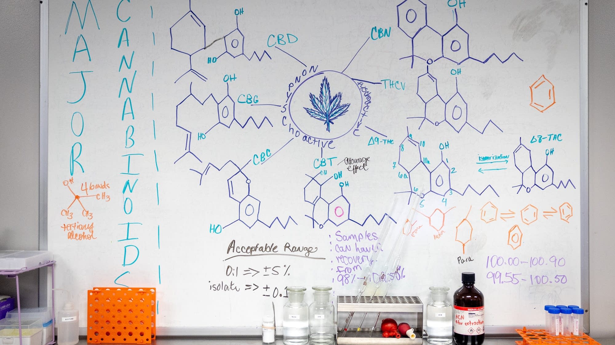 Confused about Minnesota's THC edibles law? This cannabis attorney has ...