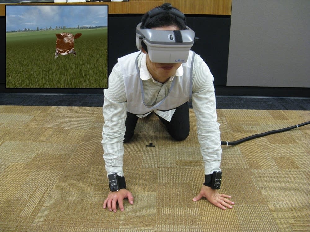 After becoming a virtual cow, will you feel more empathy (and change ...