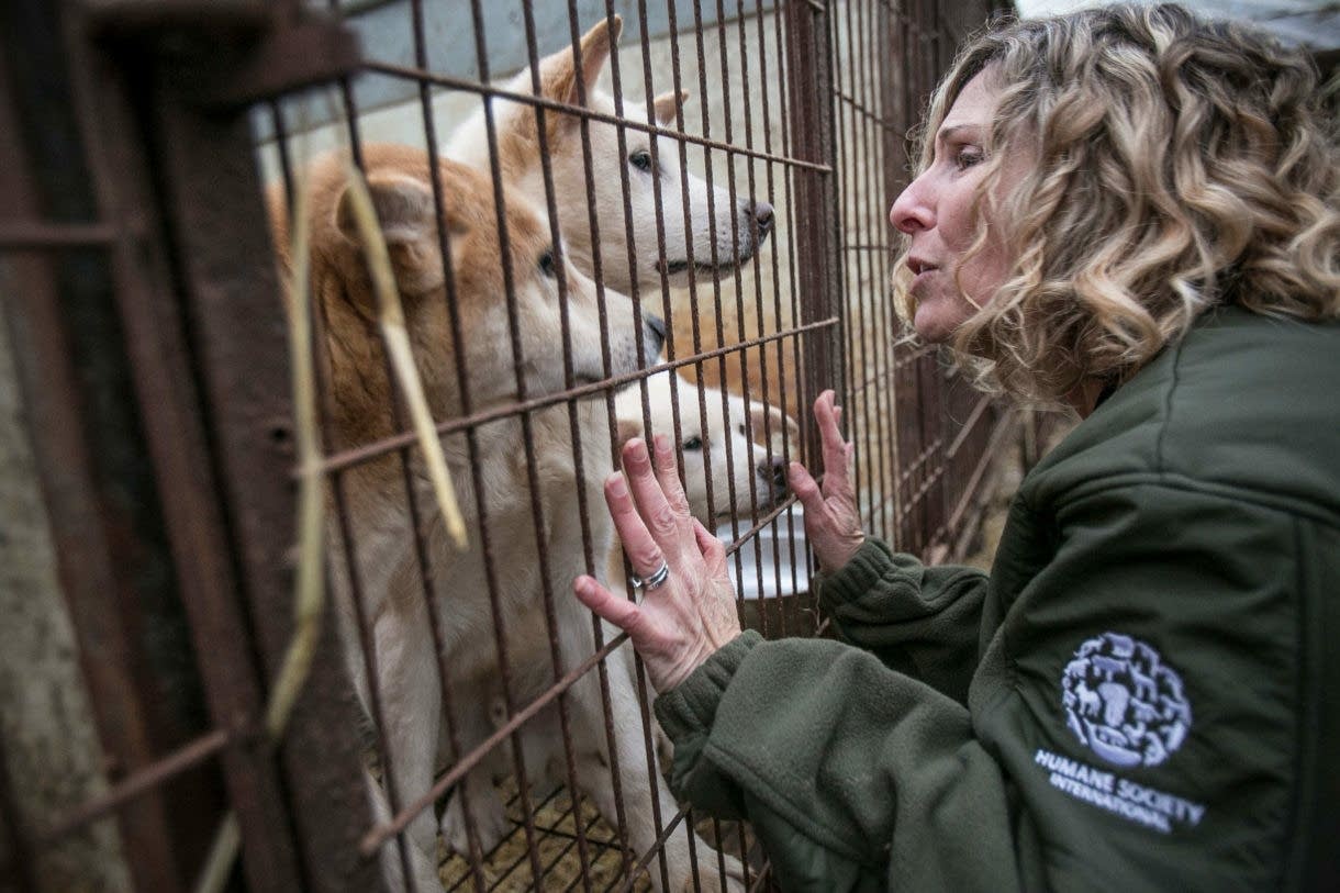 A Beautiful World: Rescuing animals in winter | MPR News