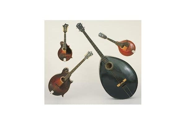 Instrument Exploration: Mandolin - Class Notes from YourClassical