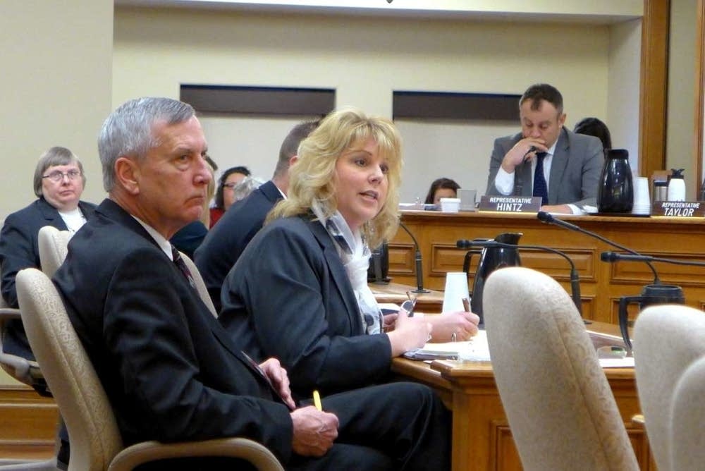 Meet Cathy Stepp, the EPA leader now overseeing Minnesota and making ...