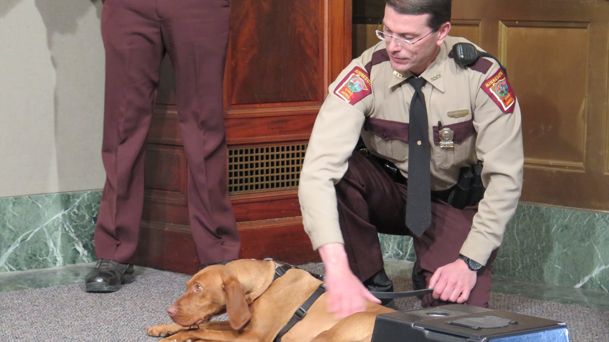 Minnesota Capitol gets new security K-9 | MPR News