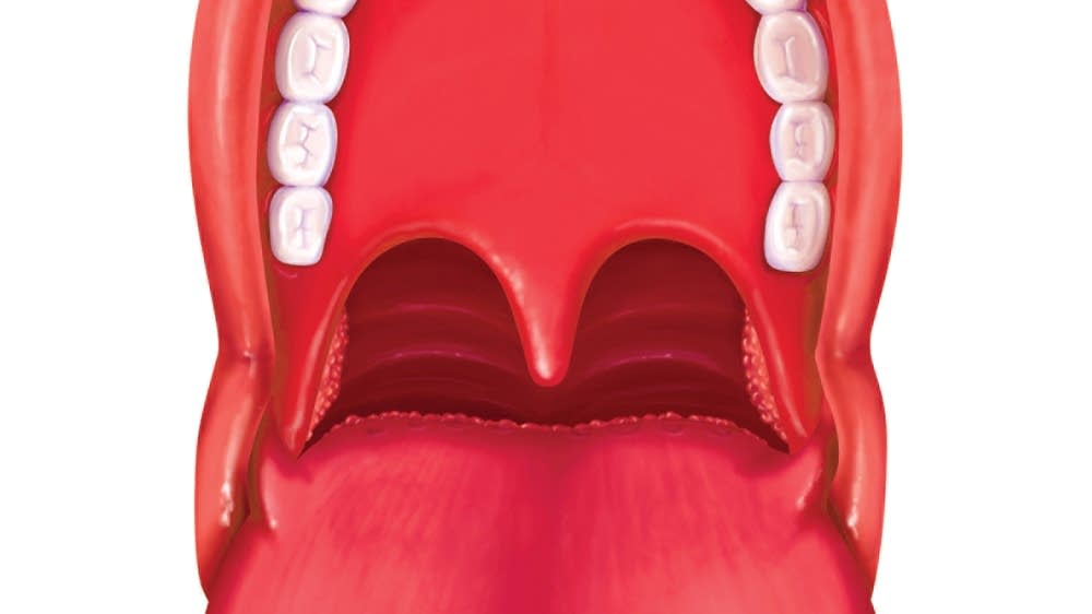 A literary gut check from author Mary Roach | MPR News