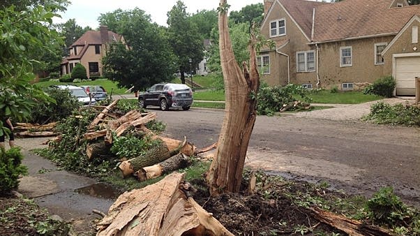 When trees crush homes and cars, who's responsible? | MPR News