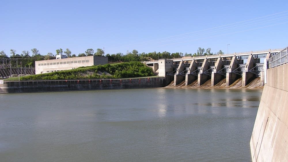 River change could help endangered fish | MPR News