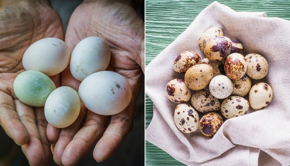 All about eggs: the connective power of a global food | The Splendid Table