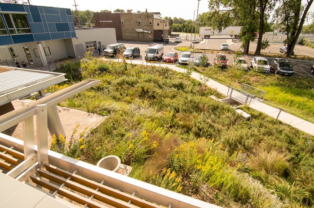 Photos: One-of-a-kind Stormwater Park protects Mississippi Watershed ...