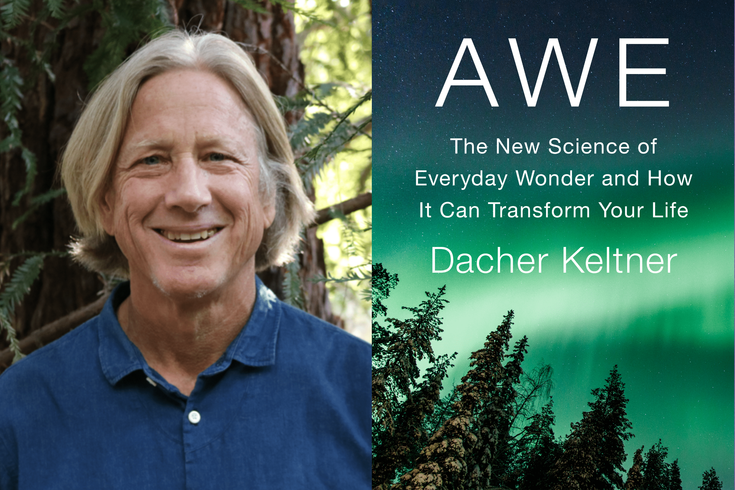 Professor Dacher Keltner On The Significance Of Awe MPR News