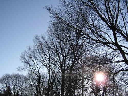 Finally sunshine! Cold fronts; Will Feb be the coldest month of “winter ...
